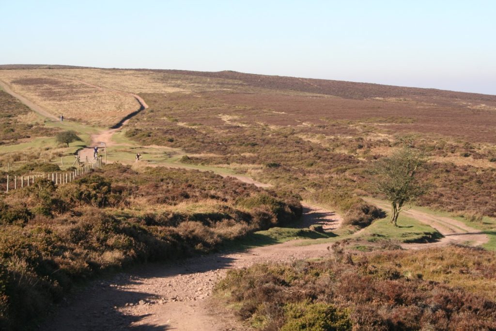 Quantocks Hike | February 2008 | applemango